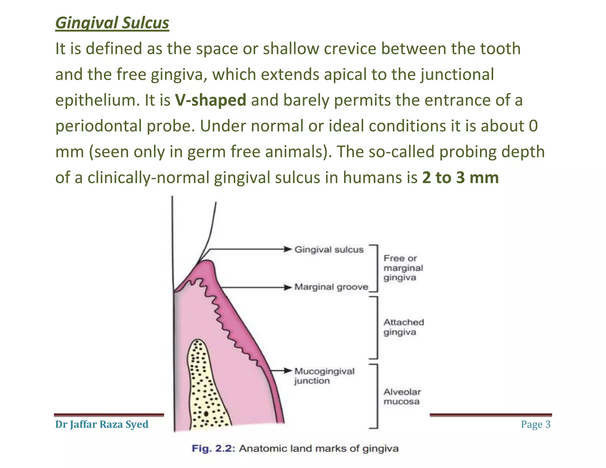 003.biology of periodontal tissues | PDF