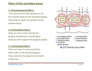 003.biology of periodontal tissues | PDF