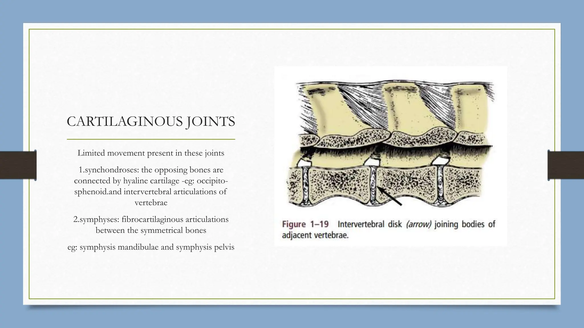 Introduction to arthrology by ARLOD AJAY | PPTX