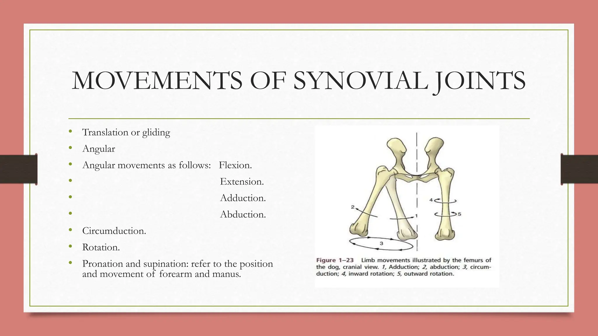 Introduction to arthrology by ARLOD AJAY | PPTX