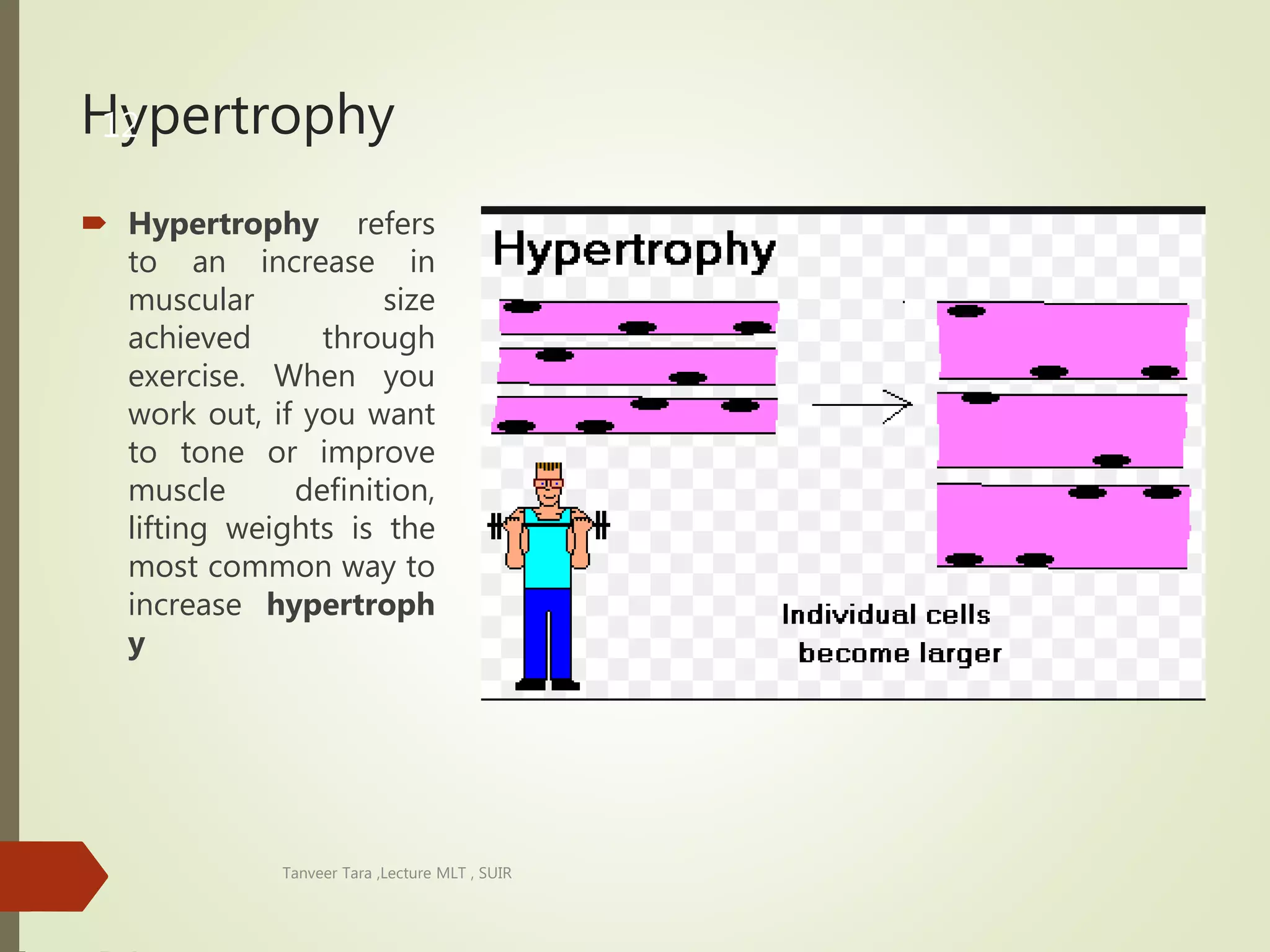 cell adaptation cell injury | PPTX