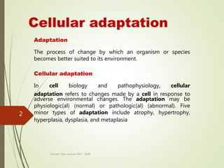 cell adaptation cell injury | PPTX | Pregnancy | Reproductive Health