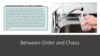 03 - Complex systems and the structure of Emergence | PDF | Biological ...