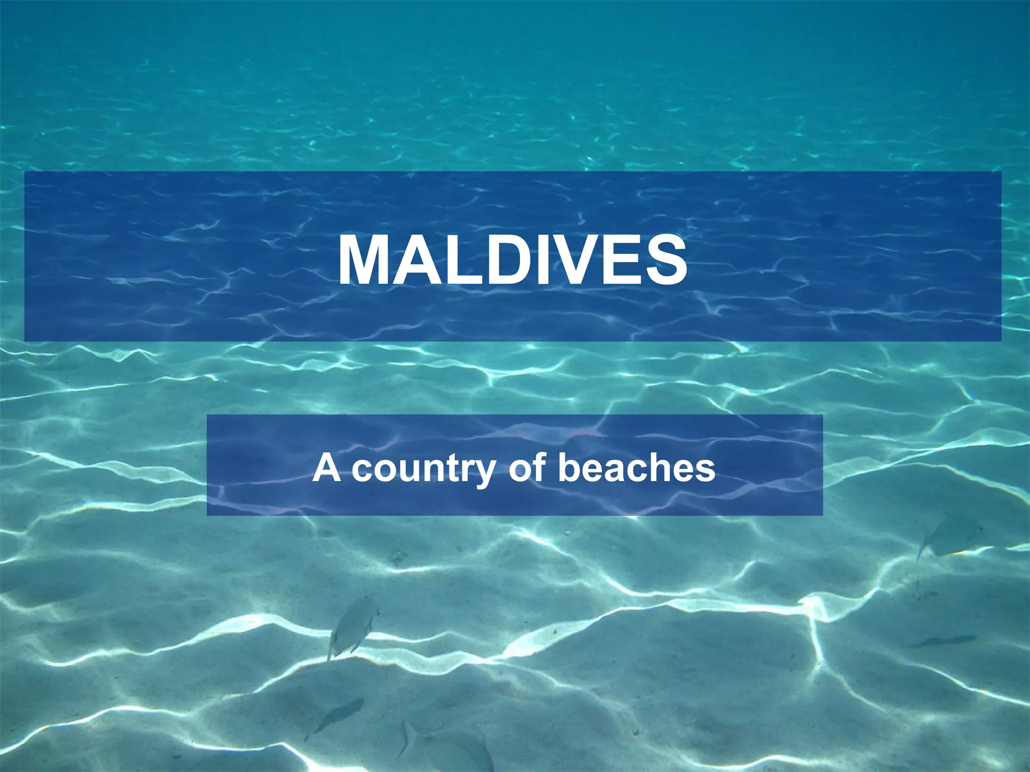 maldives | PPT