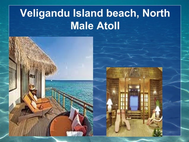 maldives | PPT
