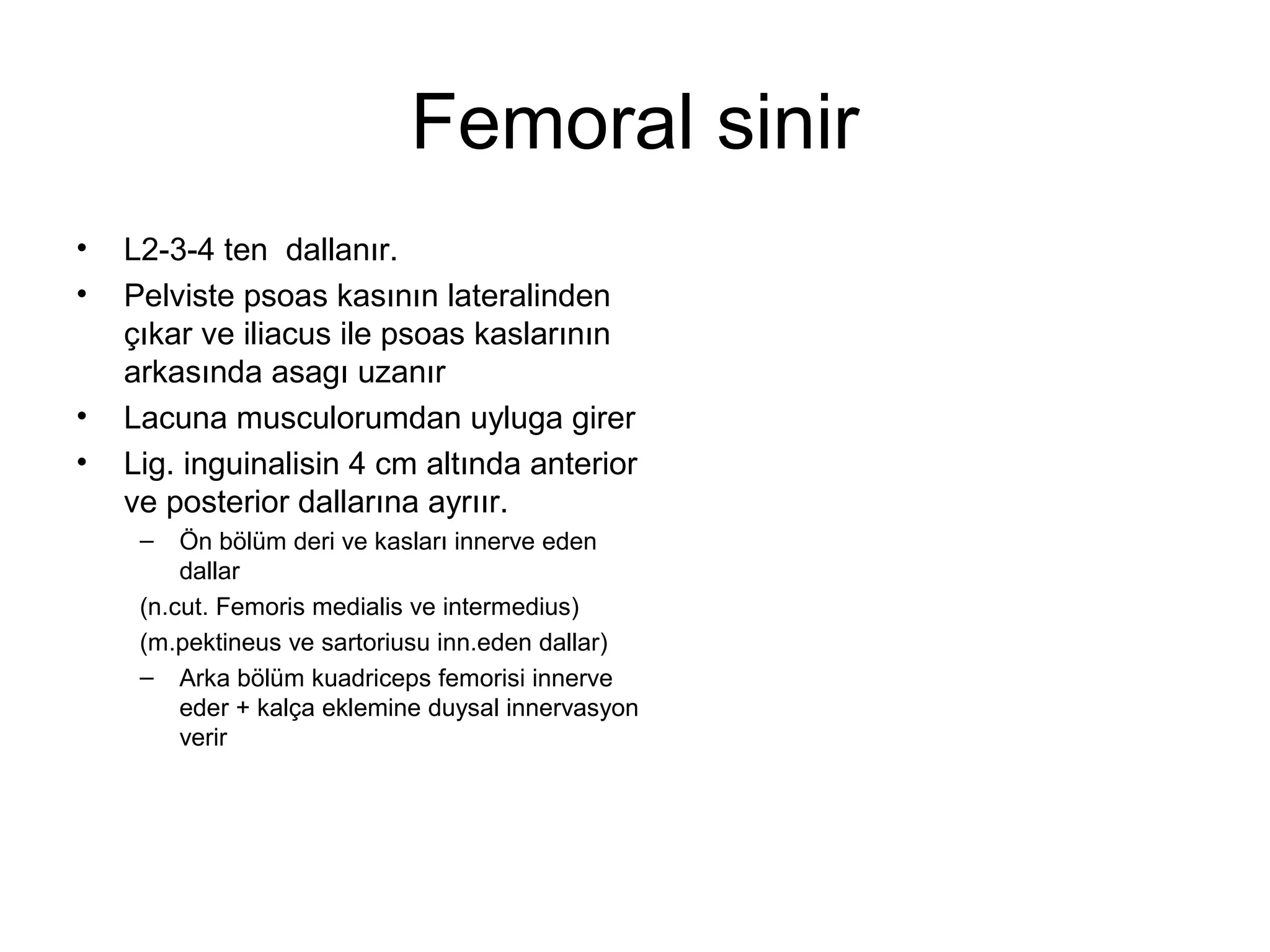 003 bülent özkurt artroplasti açisindan kalça anatomisi | PPT