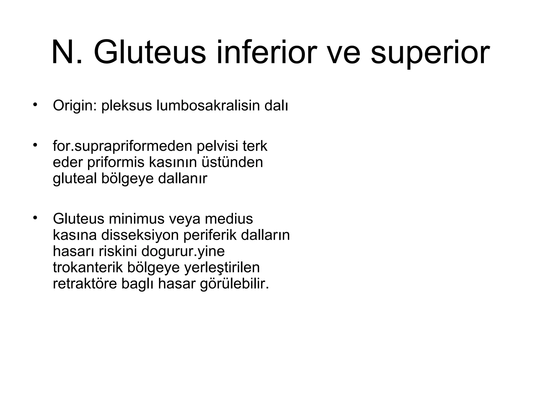 003 bülent özkurt artroplasti açisindan kalça anatomisi | PPT