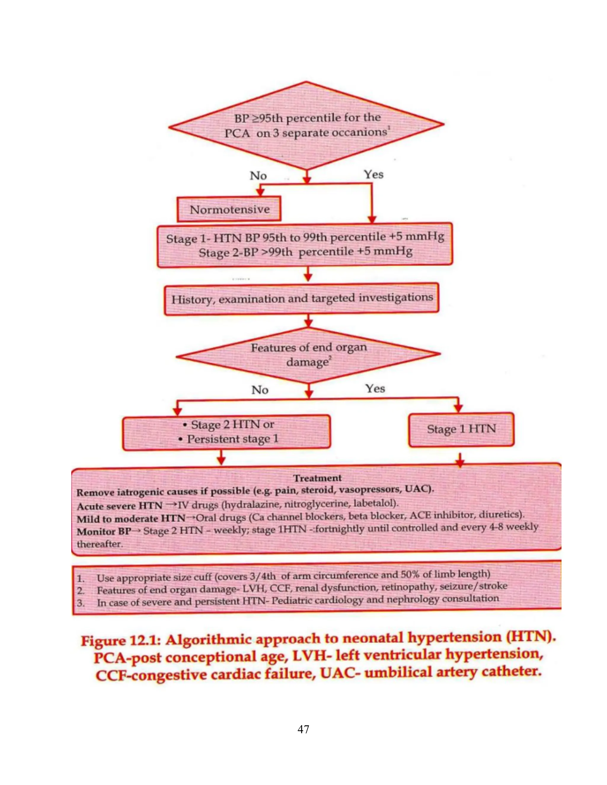 Cardiovascular system of newborn at a glance- neonatology | PDF