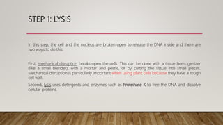 003 dna extraction | PPTX