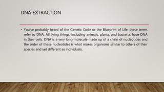 003 dna extraction | PPTX