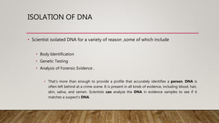 003 dna extraction | PPTX