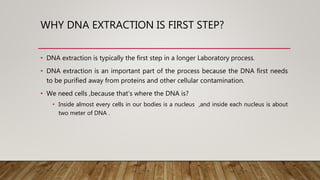 003 dna extraction | PPTX