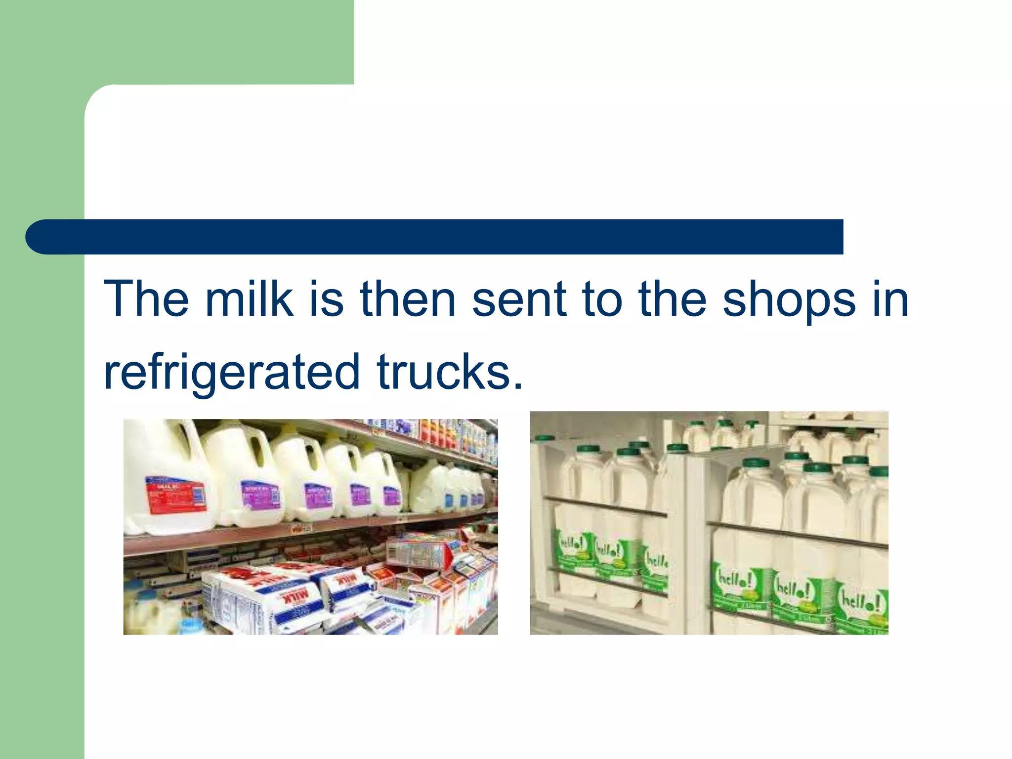 How Milk is Produced by Rachel | PPT