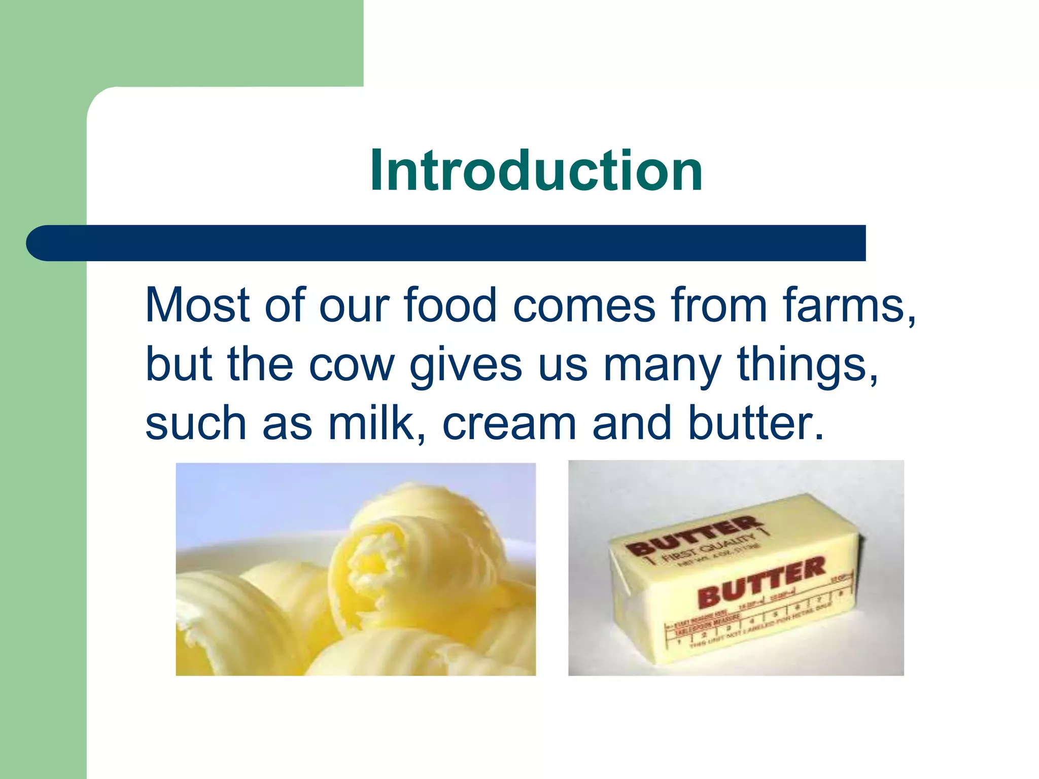 How Milk is Produced by Rachel | PPT