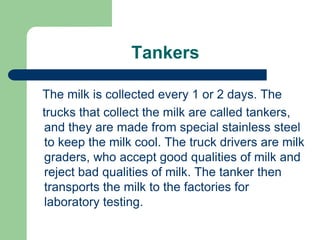 How Milk is Produced by Rachel | PPT