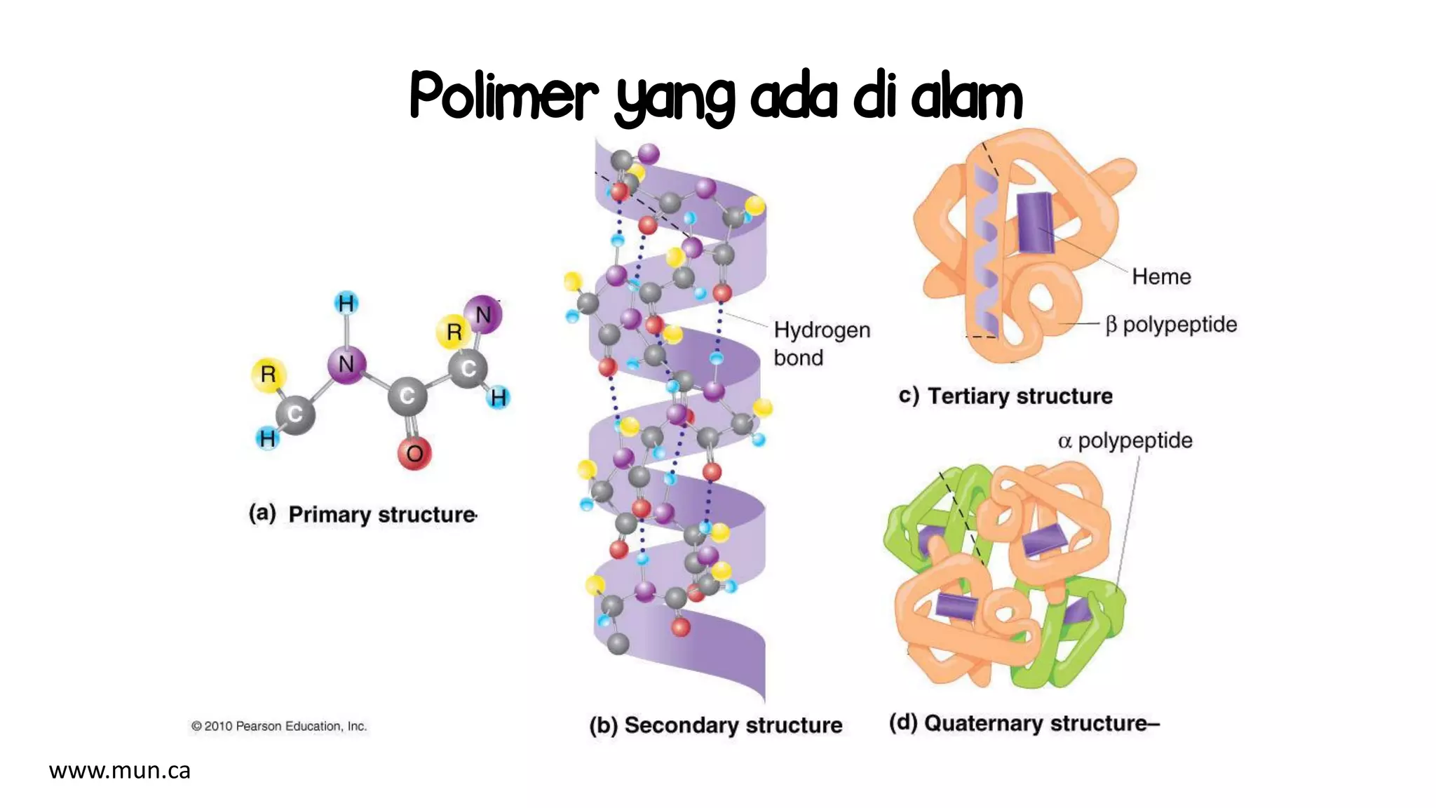 003 polimer | PDF