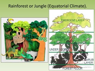 Landscapes (Climates of the World) | PPTX