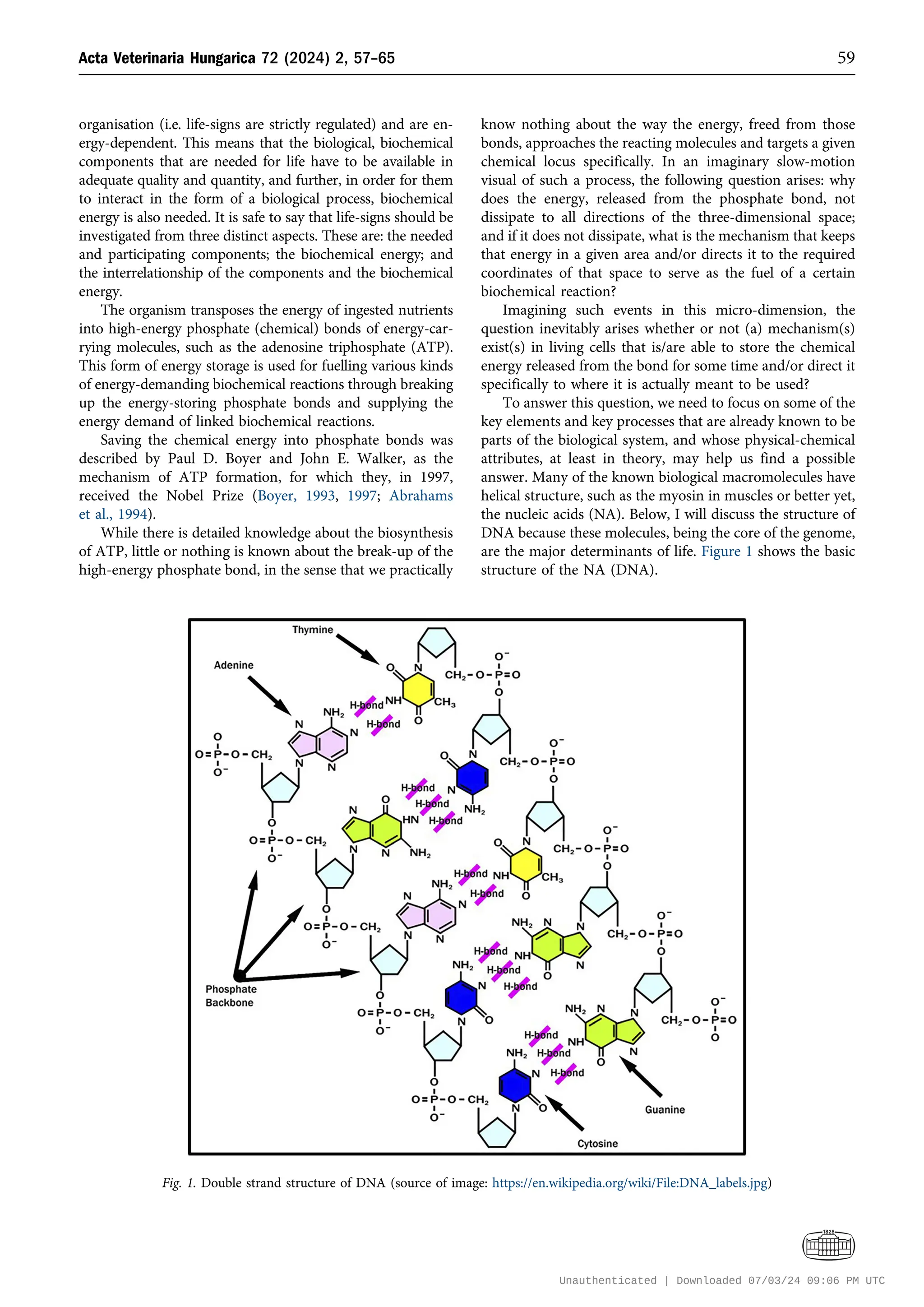entanglement of electromagnetism and life.pdf