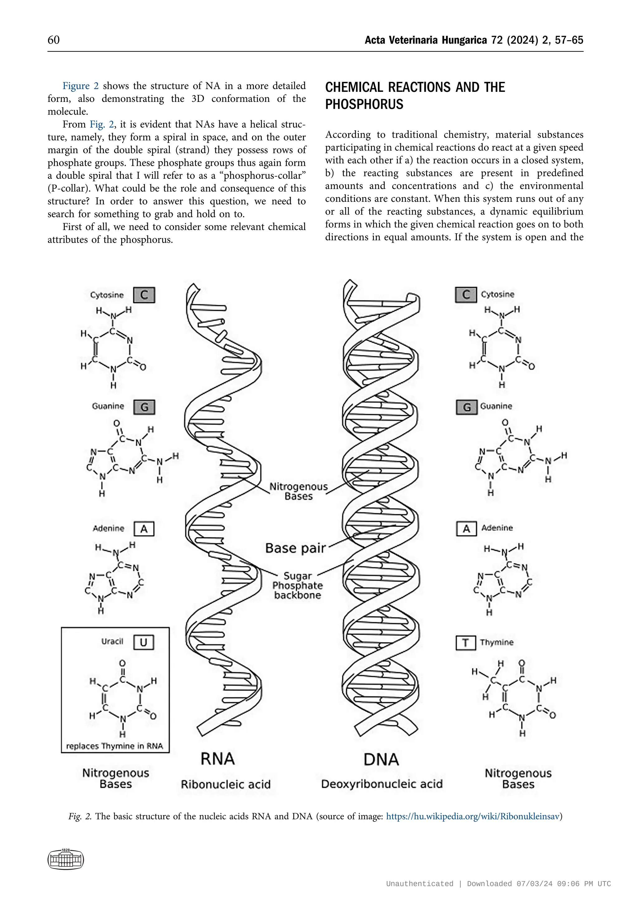 entanglement of electromagnetism and life.pdf