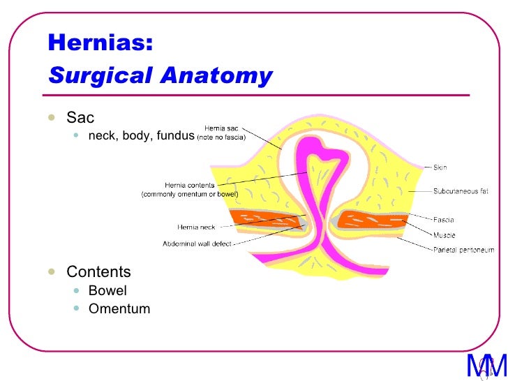 004 Hernias - Introduction to Clinical Surgery Lectures