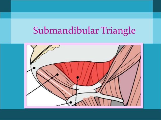Surgical anatomy and approaches to neck