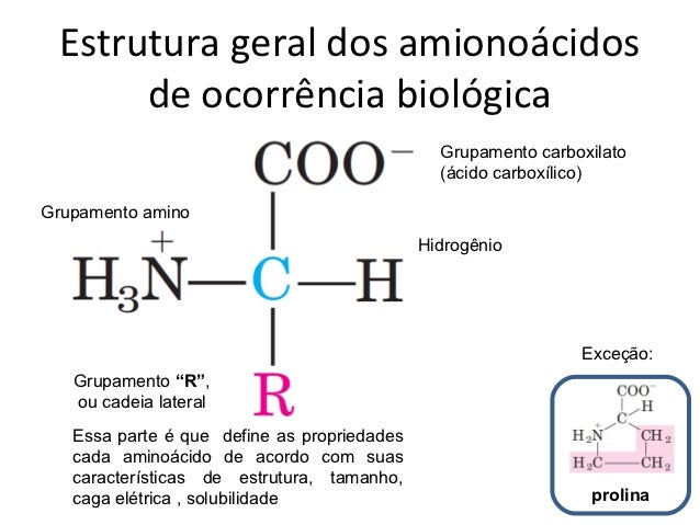 004 aminoacido