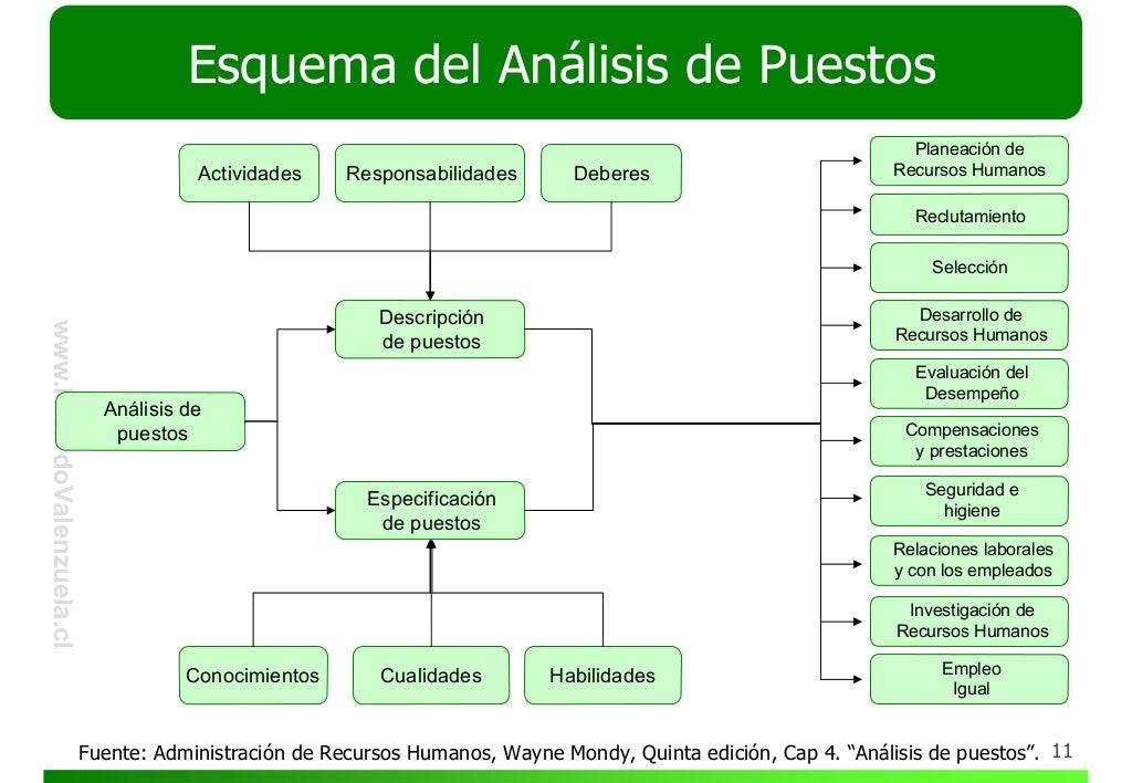 Analisis Y Tipos De Puestos En Las Organizaciones Doc - vrogue.co Analisis Y Tipos De Puestos En Las Organizaciones Doc - vrogue.co