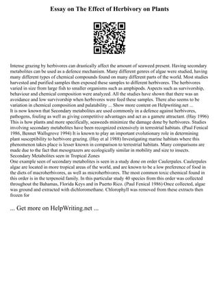 004 High School College Graphic Essay Example V | PDF