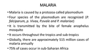 004 Malaria pathology pathophysiology medicine | PPTX
