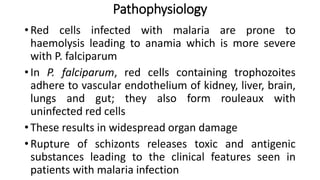 004 Malaria pathology pathophysiology medicine | PPTX