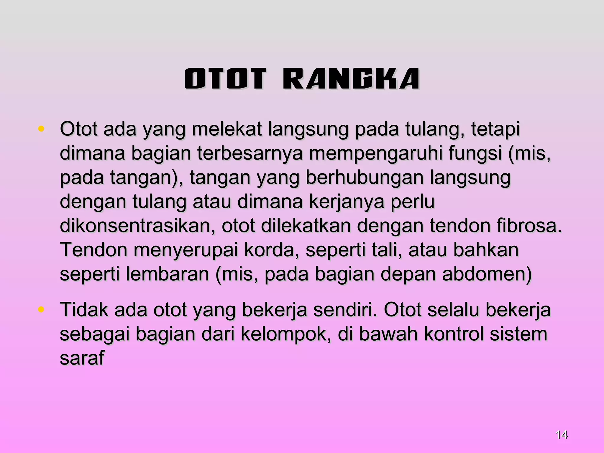 Musculosceletal System in Anatomy/ Sistem Otot dan Tulang ...