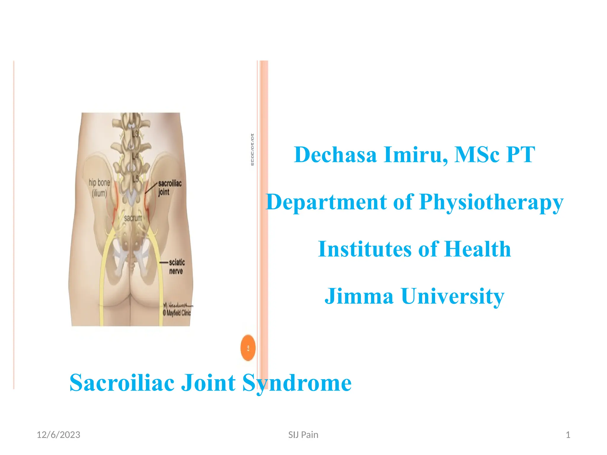 004 Sacroiliac Joint Syndrome(sij) ppt.pptx