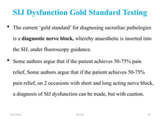 004 Sacroiliac Joint Syndrome(sij) ppt.pptx