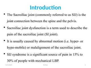 004 Sacroiliac Joint Syndrome(sij) ppt.pptx