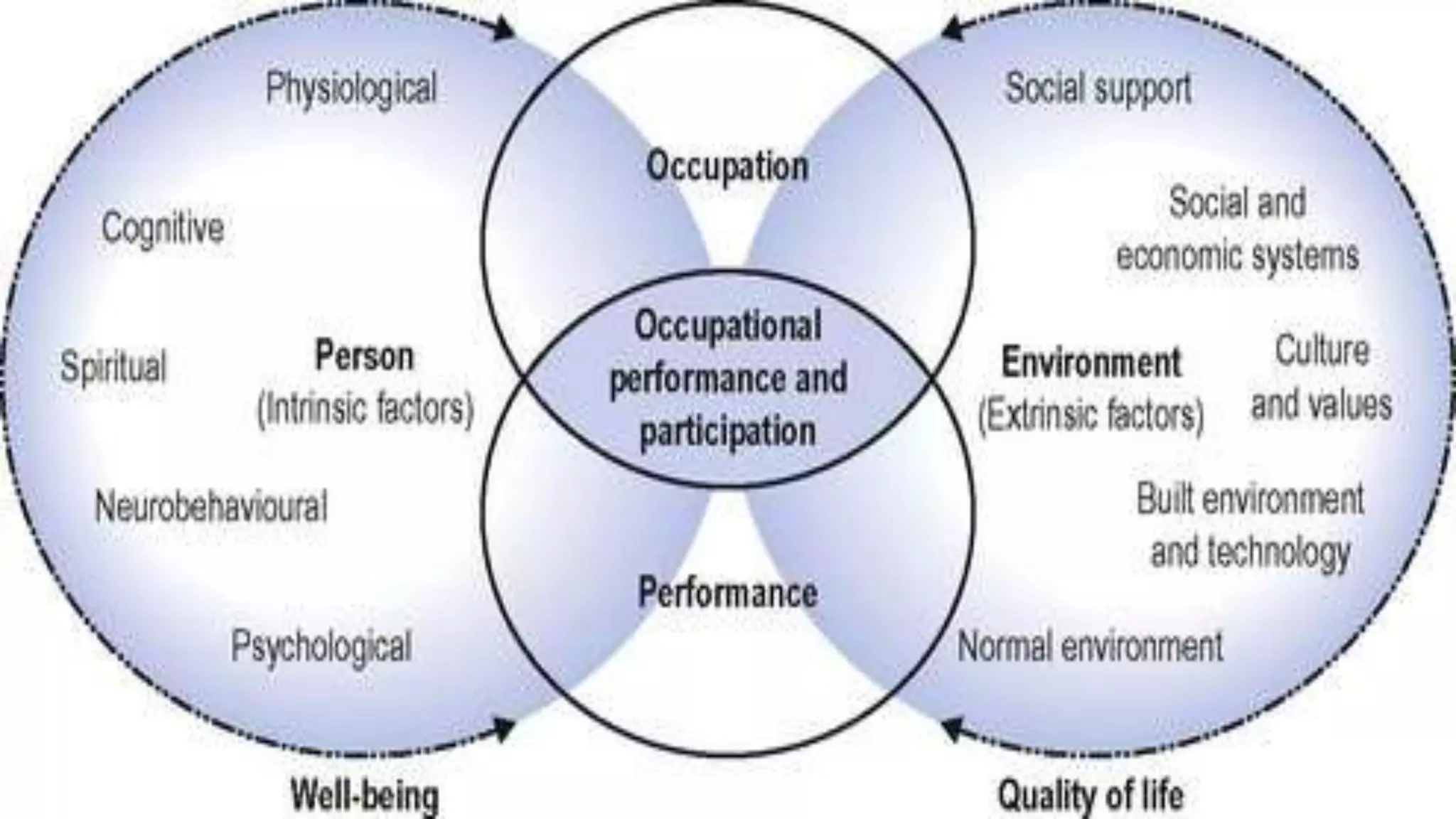 Person Environment Model of Occupational Therapy | PPTX