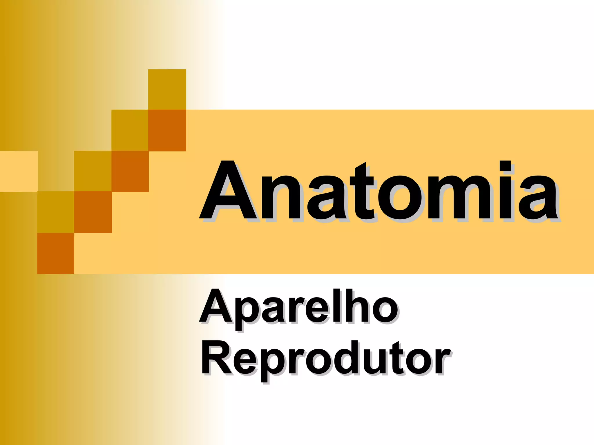 Anatomia Reprodutiva Humana | PPT Anatomia Reprodutiva Humana | PPT