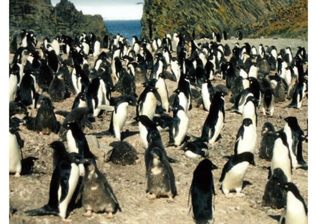 Software Engineering - 005 foundation-of-programming | PPT