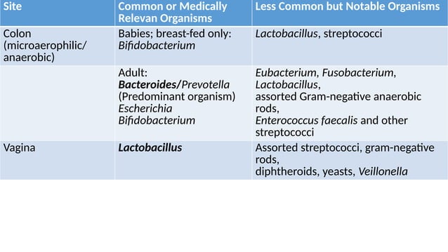 005-Normal microbial flora, microbiology department | PPTX | Skin and ...