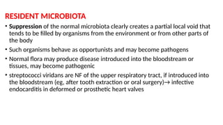 005-Normal microbial flora, microbiology department | PPTX
