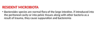 005-Normal microbial flora, microbiology department | PPT