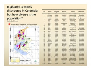 005 panicle bacterial blight in colombia, gloria mosquera | PDF