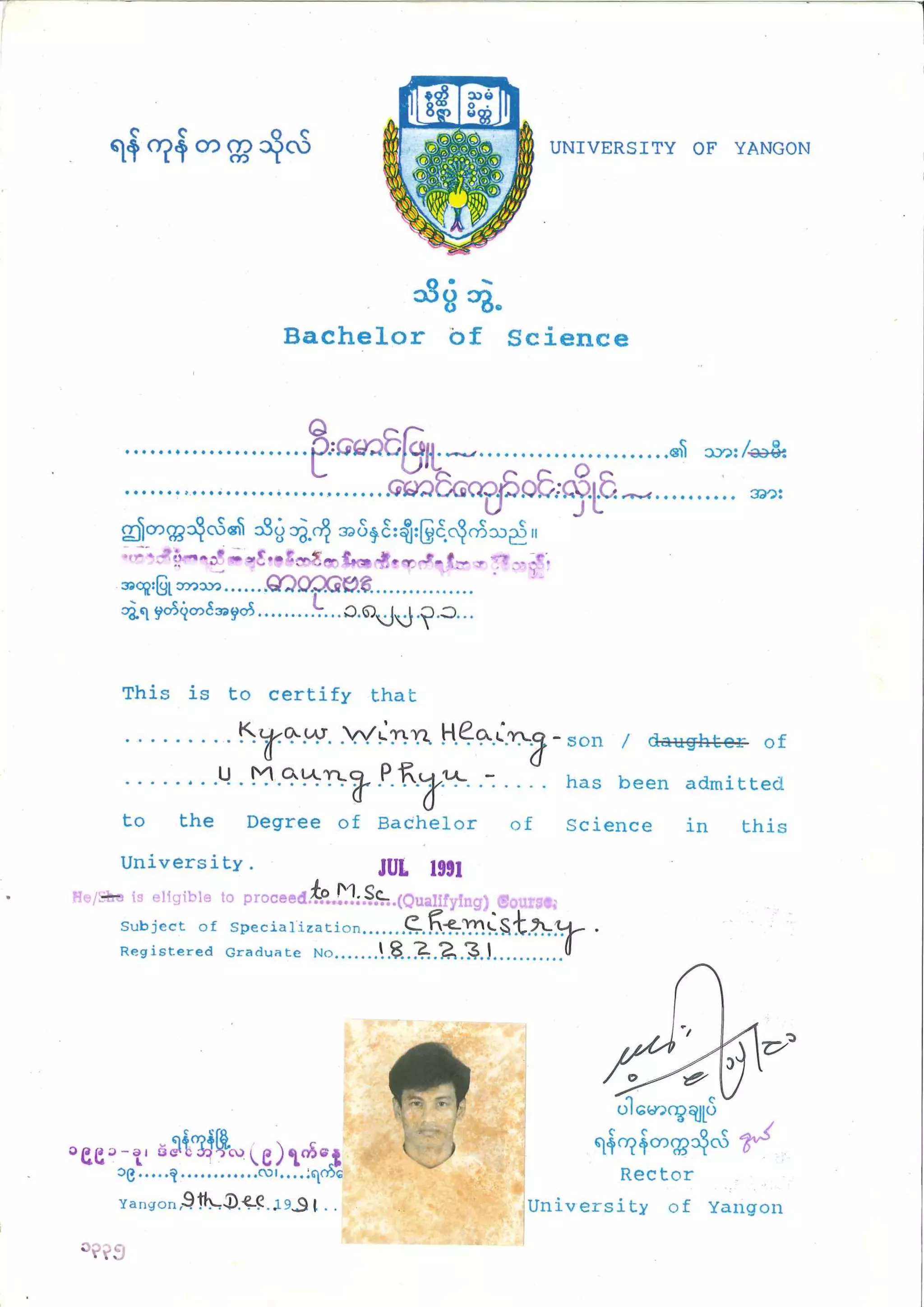 bachelor degree | PDF