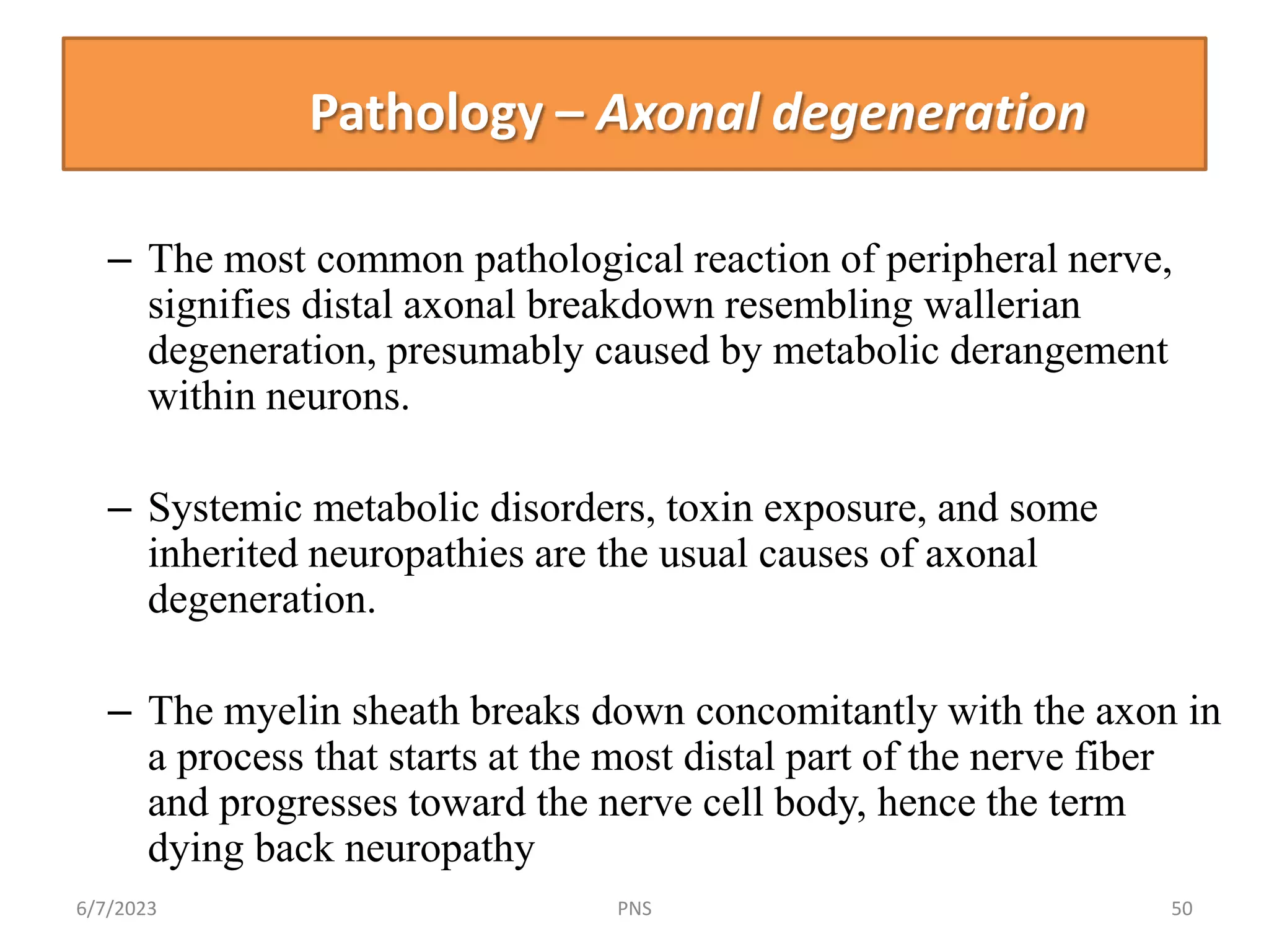 005 Diseases of the peripheral nervous system ppt.pptx