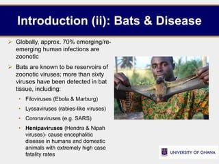 Human-bat interactions and diseases: transmission risks in Ghana | PDF