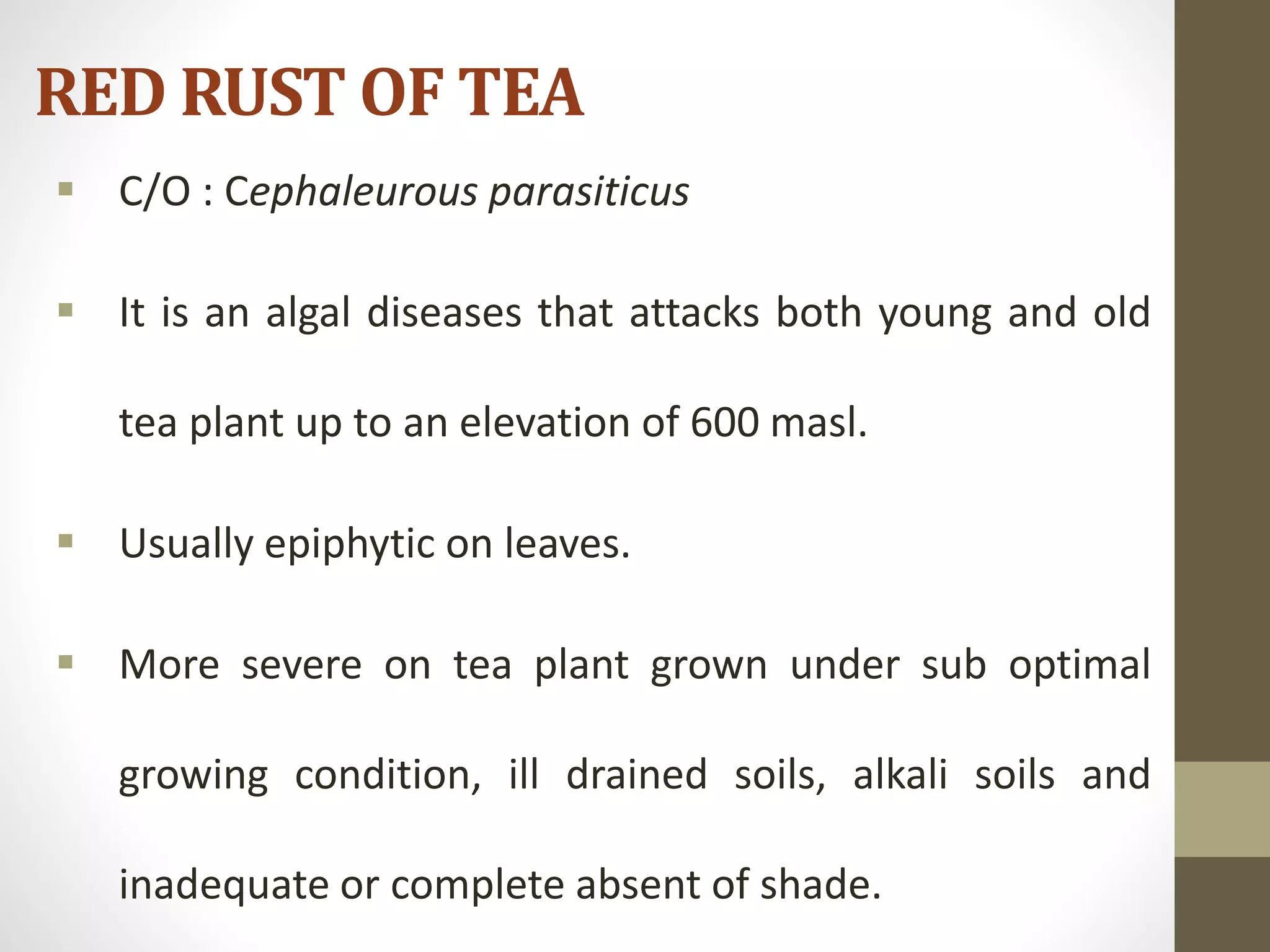 Red rust of tea, litchi and guava | PPTX