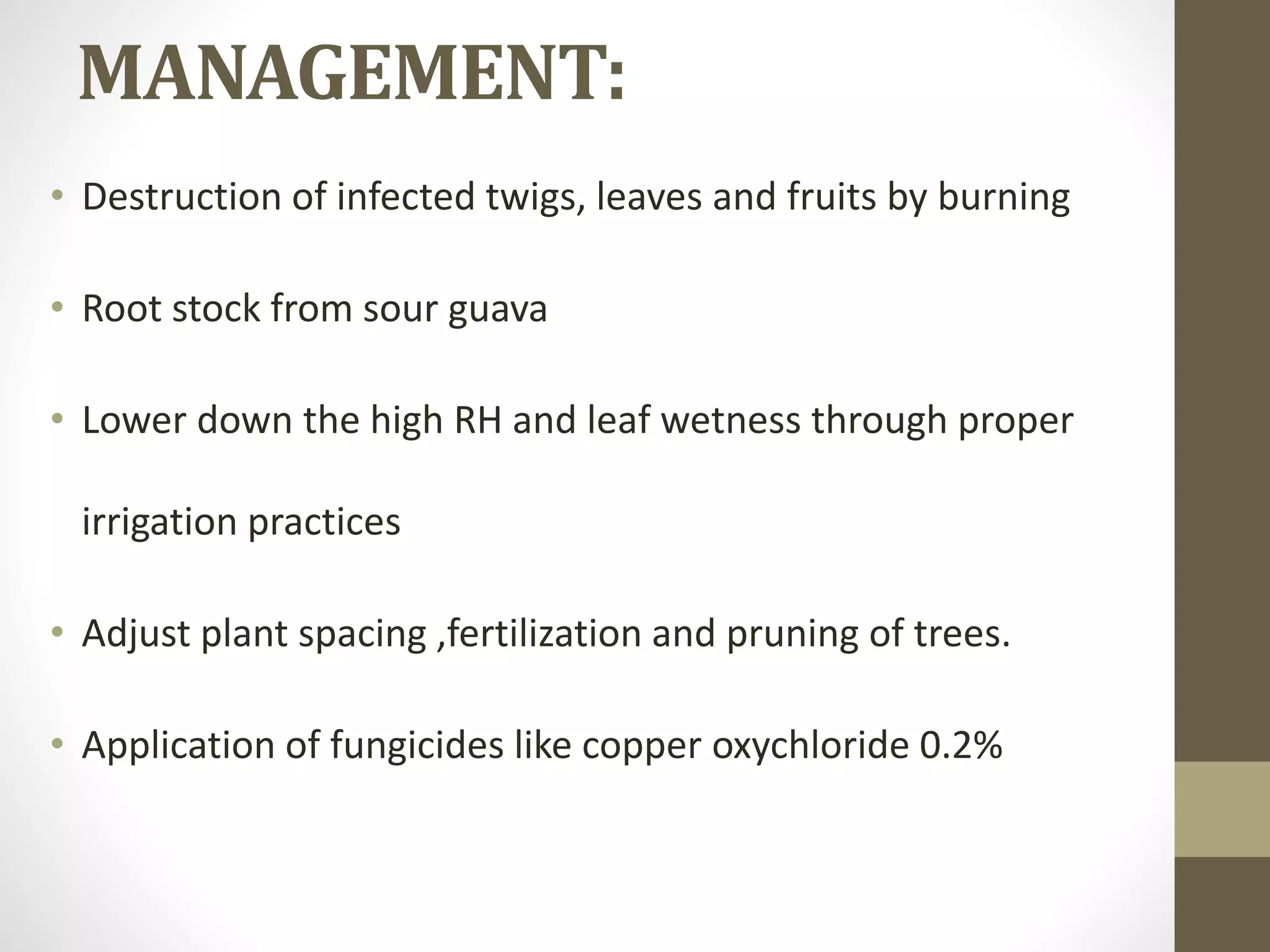 Red rust of tea, litchi and guava | PPTX