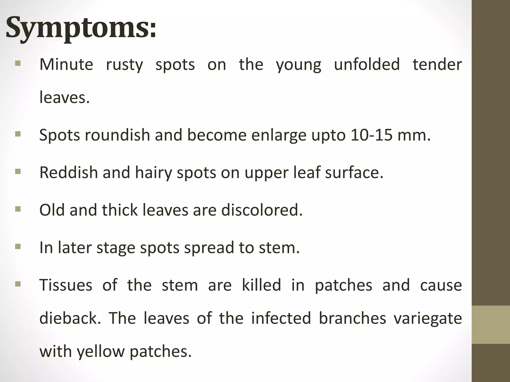Red rust of tea, litchi and guava | PPTX