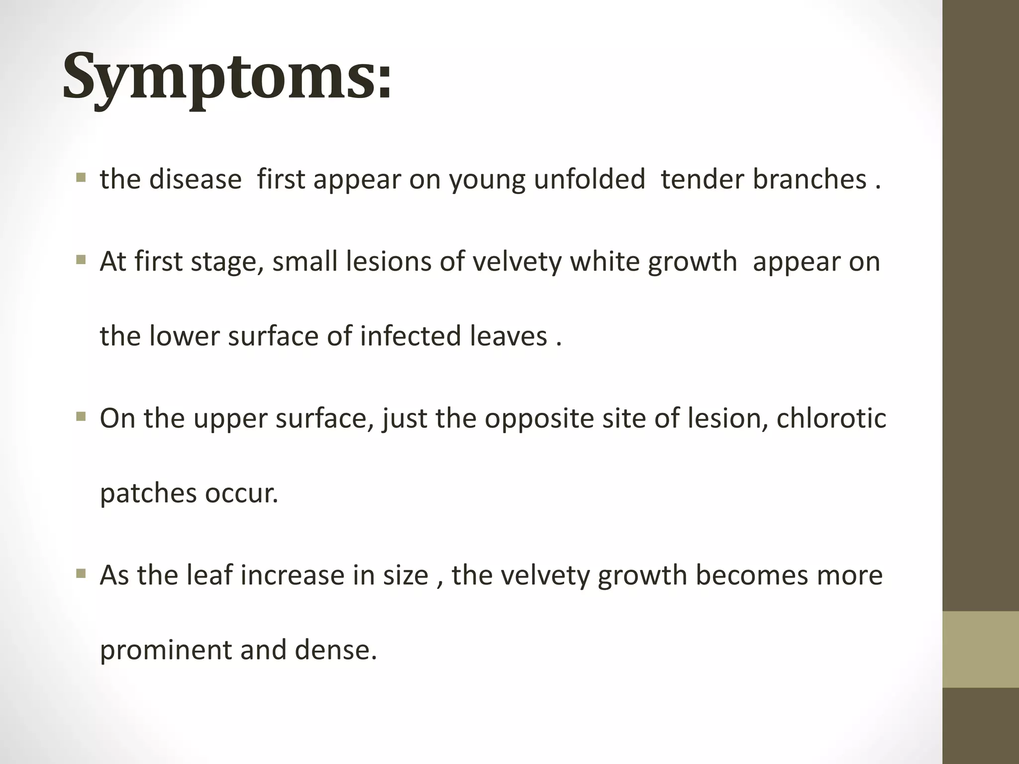 Red rust of tea, litchi and guava | PPTX