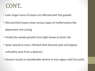 Red rust of tea, litchi and guava | PPTX
