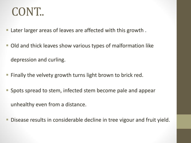 Red rust of tea, litchi and guava | PPTX | Gardening | Home & Garden